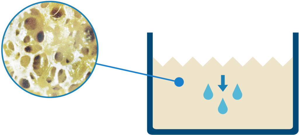 The Waterloo Process - Waterloo Biofilter